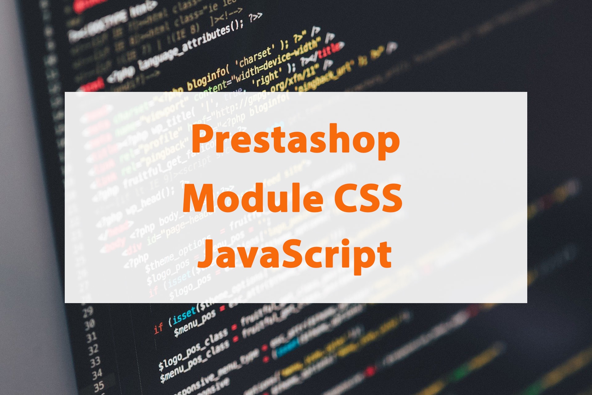 Module d'ajout de code CSS et javascript